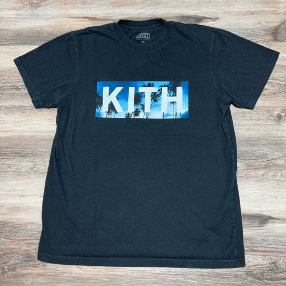 Kith | Shirts | 0s Vintage Kith Box Logo Palm Tree Sunset Streetwear ...